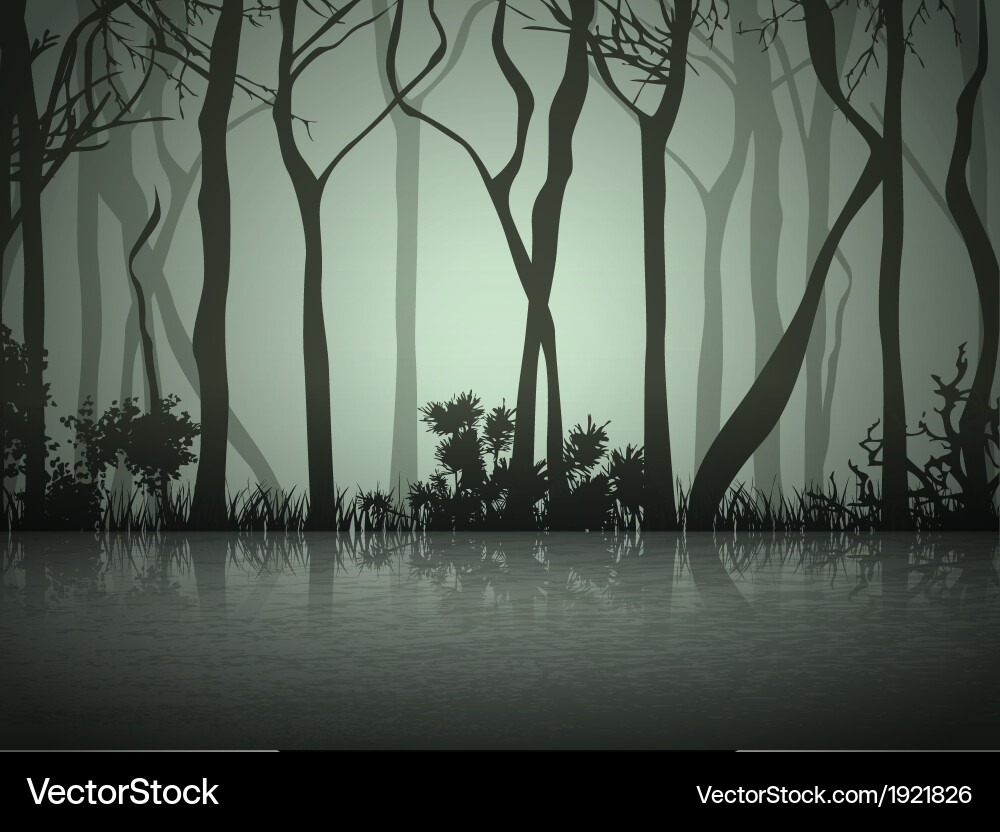Dark Fog Swamp Royalty Free Vector Image - VectorStock