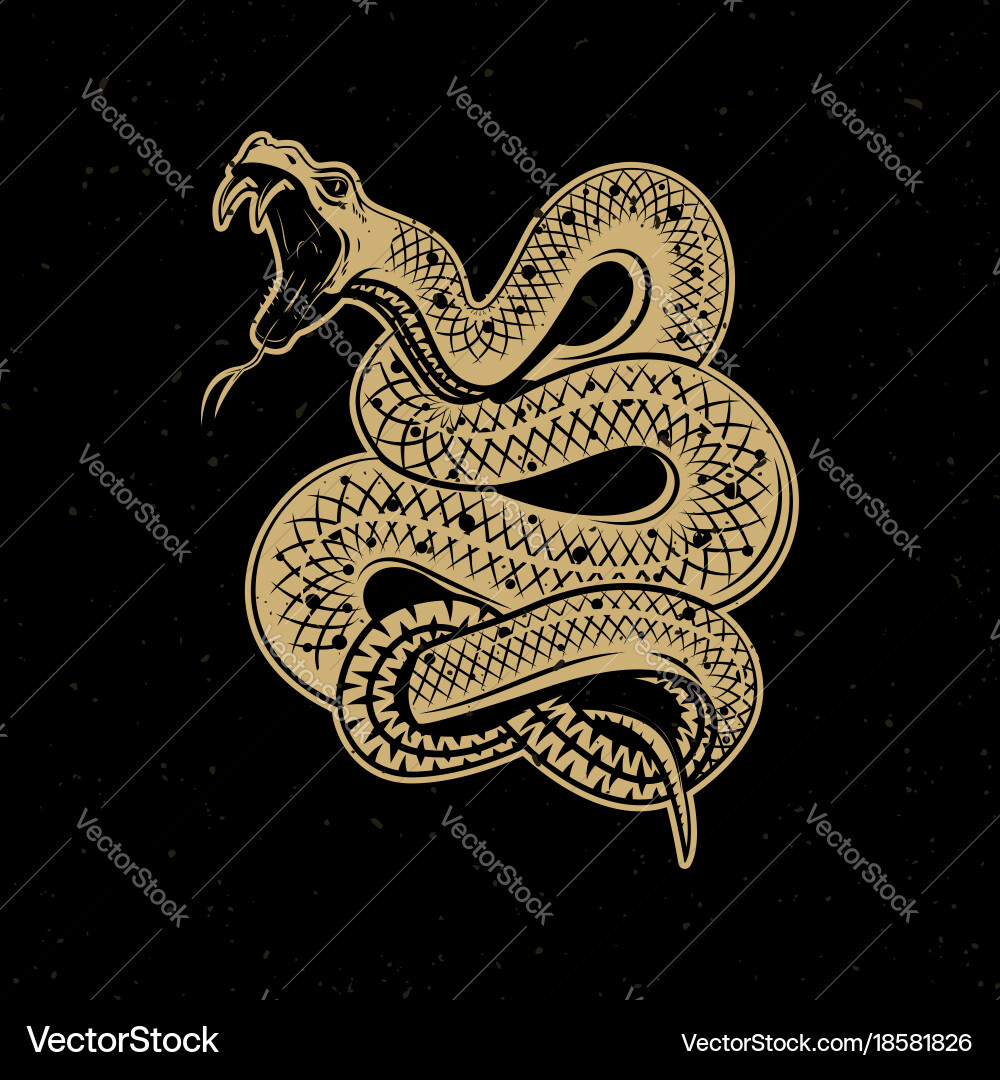 Viper snake on dark background design element Vector Image