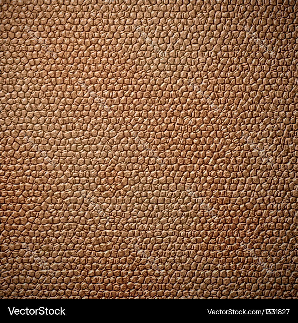 Leather texture Royalty Free Vector Image - VectorStock