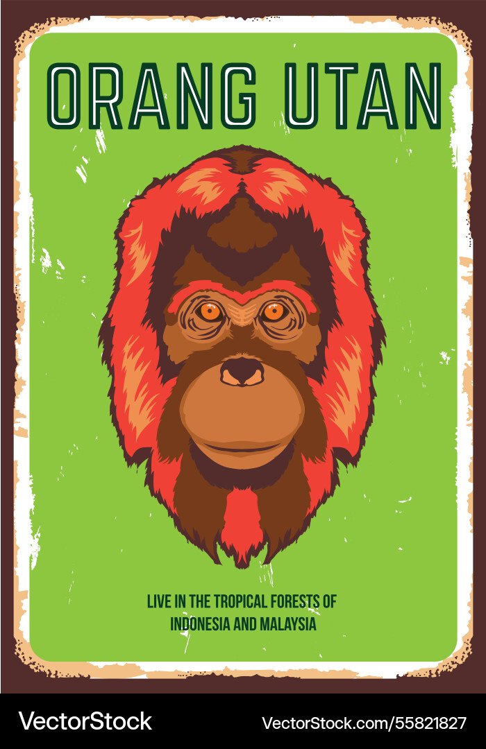 Orang utan primate face Royalty Free Vector Image