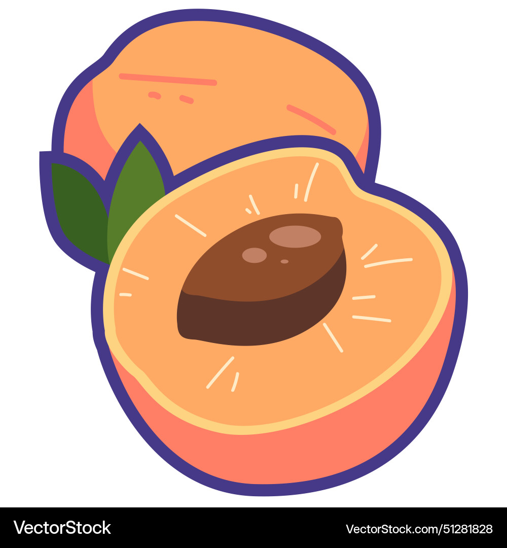 Cartoon apricot fruit Royalty Free Vector Image
