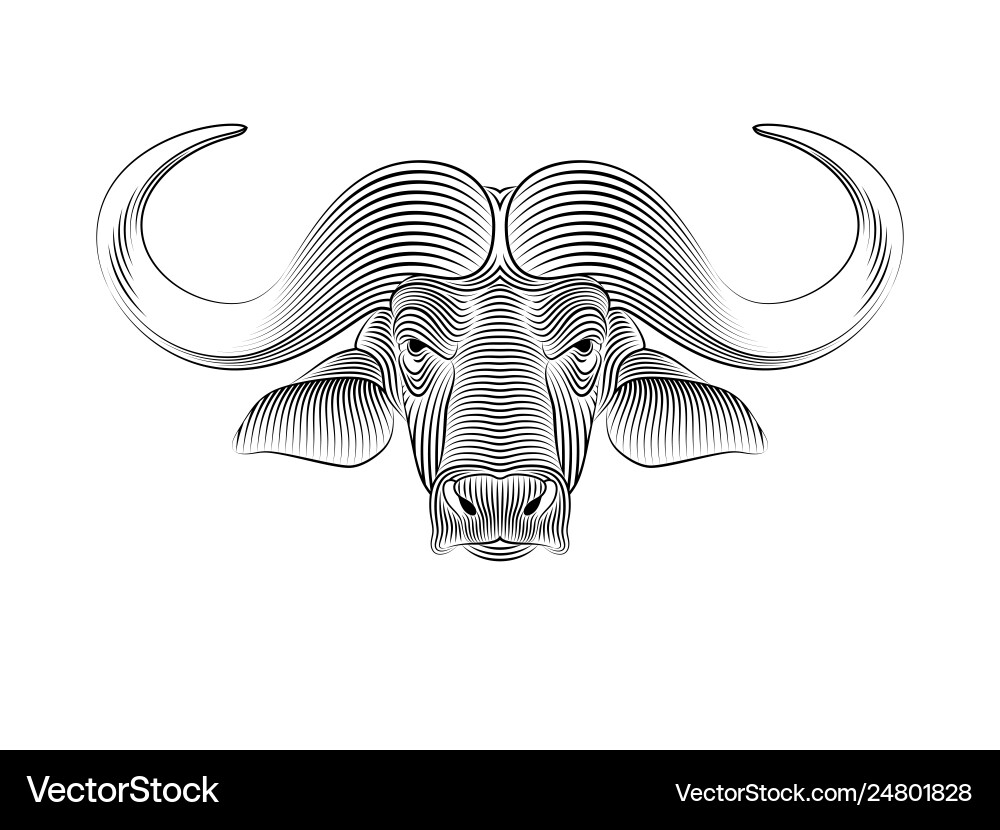 Engraving stylized buffalo portrait Royalty Free Vector