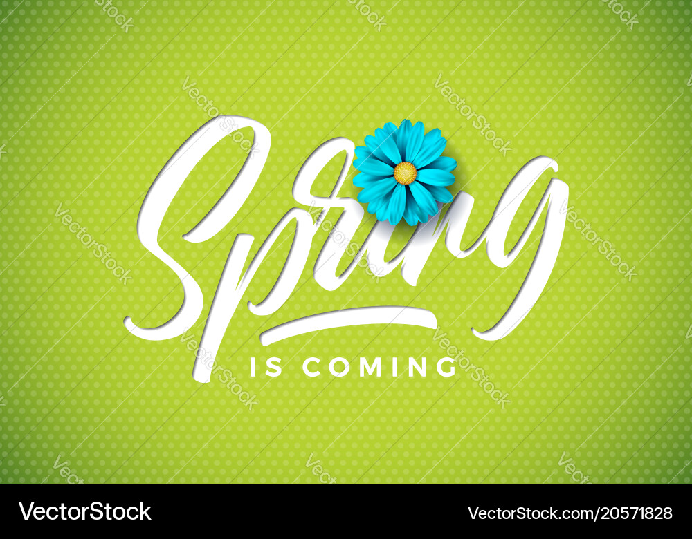 Spring Flowers Royalty Free Vector Image - VectorStock