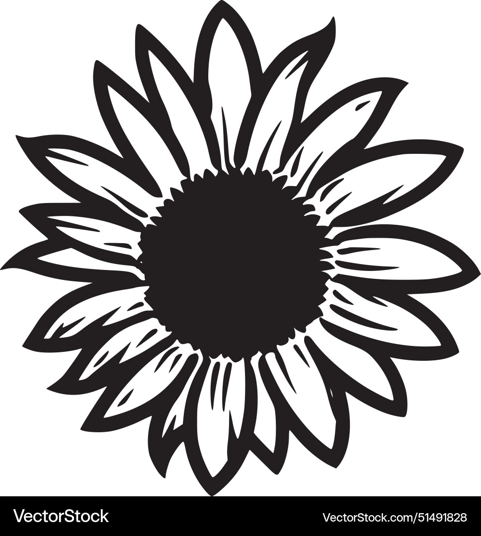 Sunflower - black and white isolated icon Vector Image