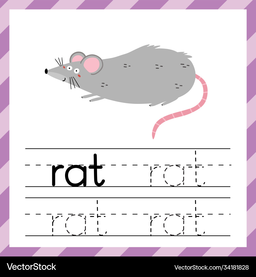 Tracing worksheet with word rat learning material Vector Image