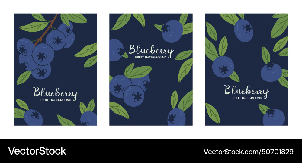 Hand drawn blueberries posters blueberry Vector Image