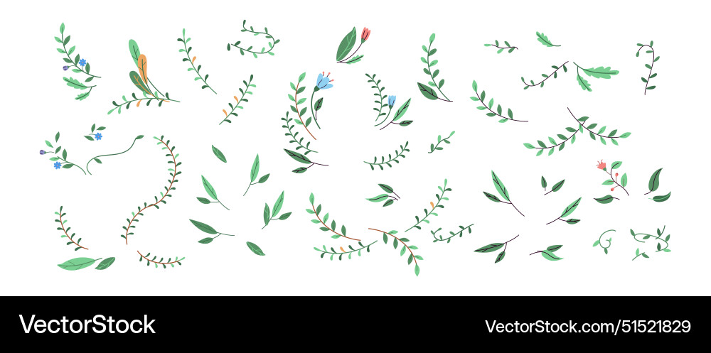 Plants branches with leaves and flowers 2d objects