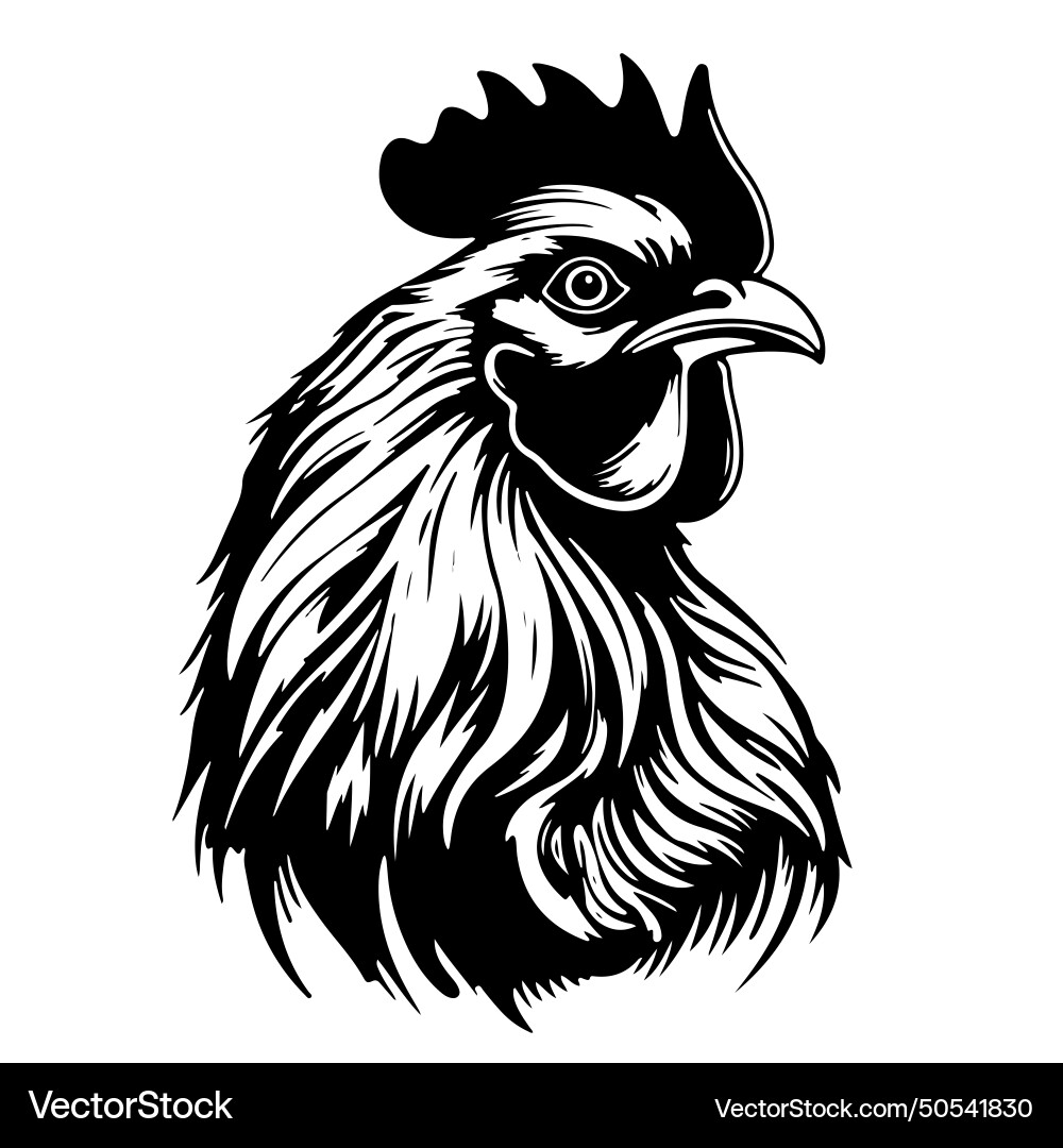 Hand drawn rooster head Royalty Free Vector Image