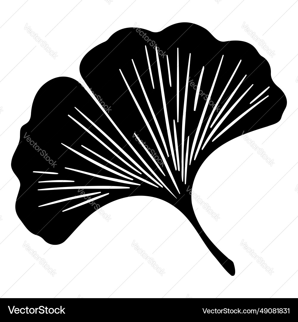 Ginkgo leaf silhouette Royalty Free Vector Image