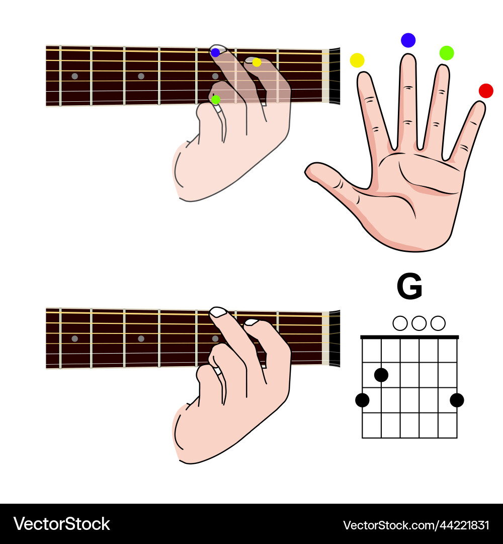 Guitar chord basic and hand position for ch Vector Image