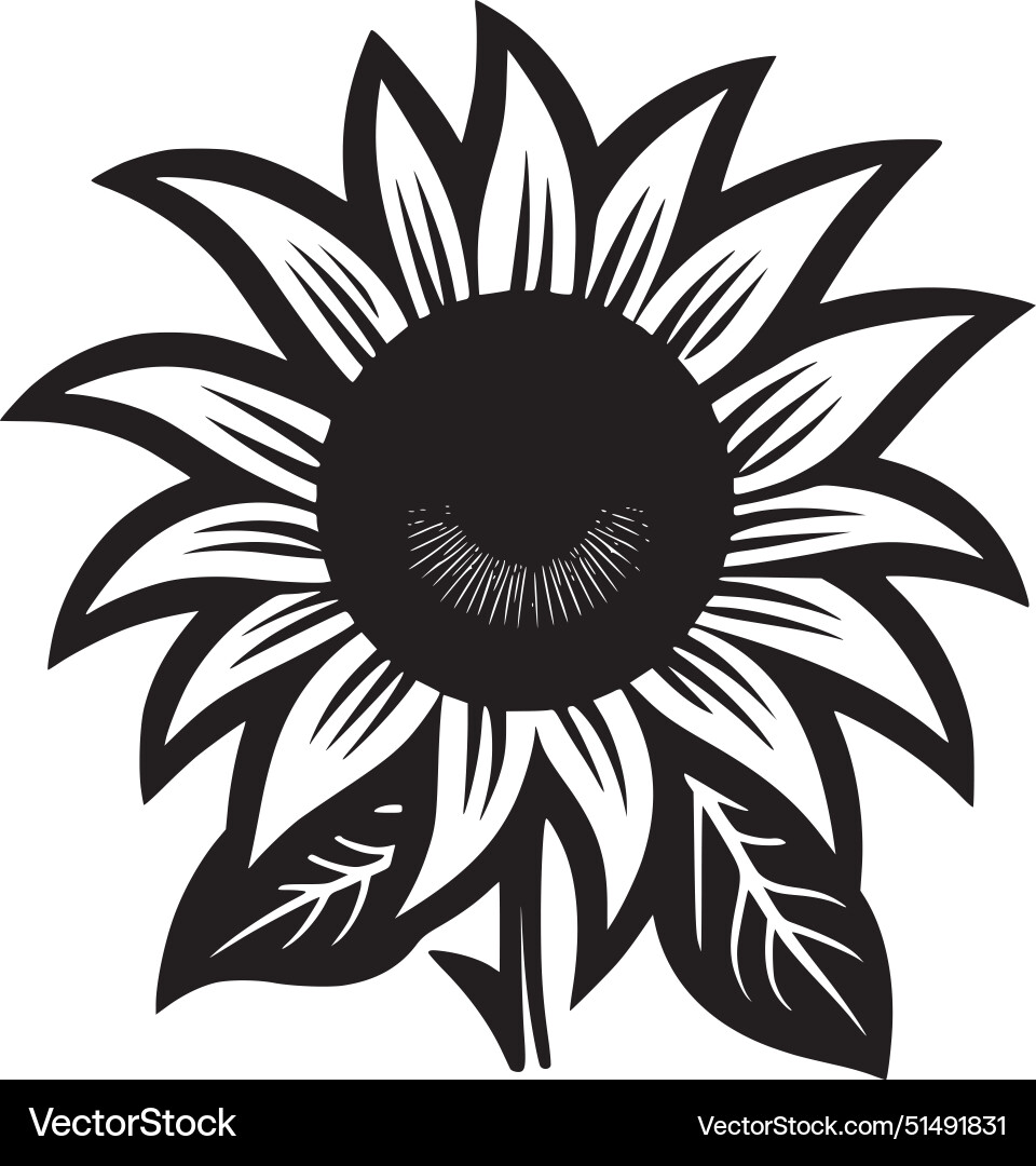 Sunflower - black and white isolated icon Vector Image