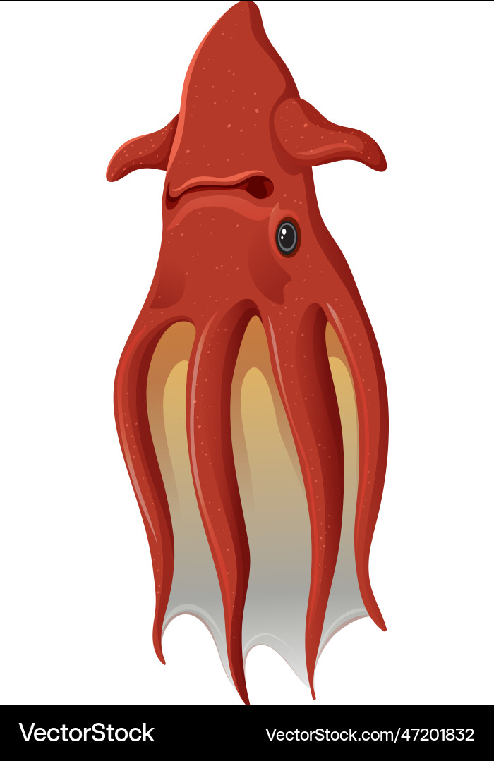 Deep sea creatures vampire squid Royalty Free Vector Image