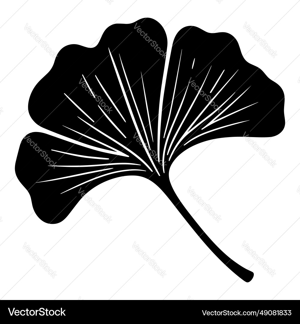 Ginkgo leaf silhouette Royalty Free Vector Image