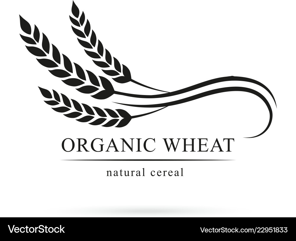 Grain logo wheat symbol Royalty Free Vector Image