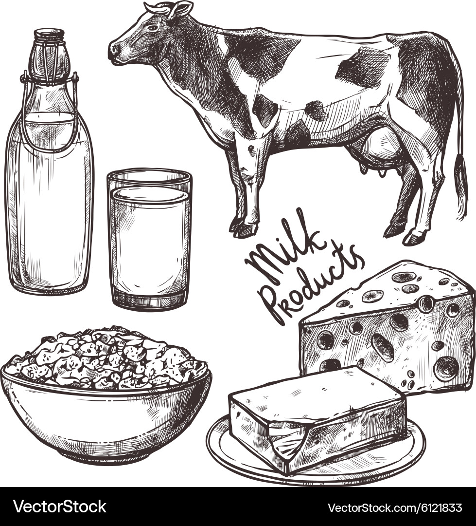 Sketch milk products set Royalty Free Vector Image