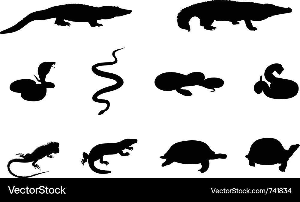 Reptile silhouette collection Royalty Free Vector Image