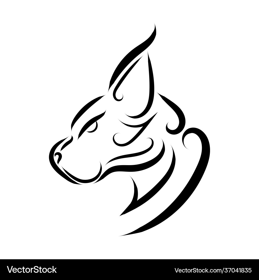 Black and white line art wildcat head Royalty Free Vector