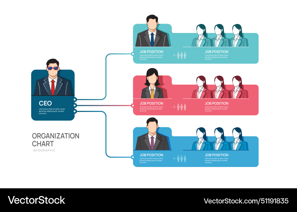 Infographic template for organization chart Vector Image