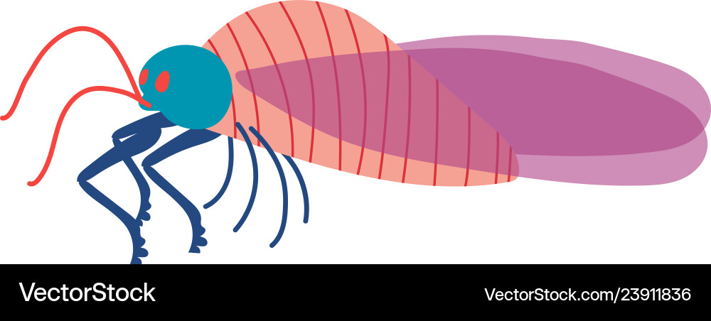 Cute colorful cicada insect top view Royalty Free Vector