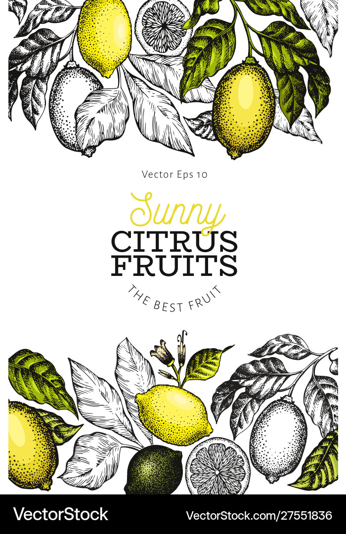 Lemon tree design template hand drawn fruit Vector Image