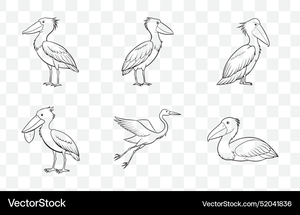 Print comprehensive shoebill line art set Vector Image