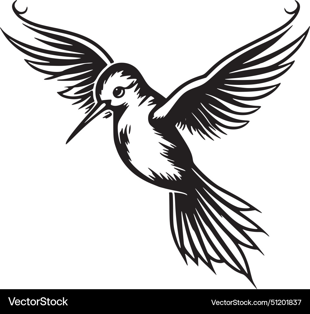 Hummingbird - black and white isolated icon Vector Image