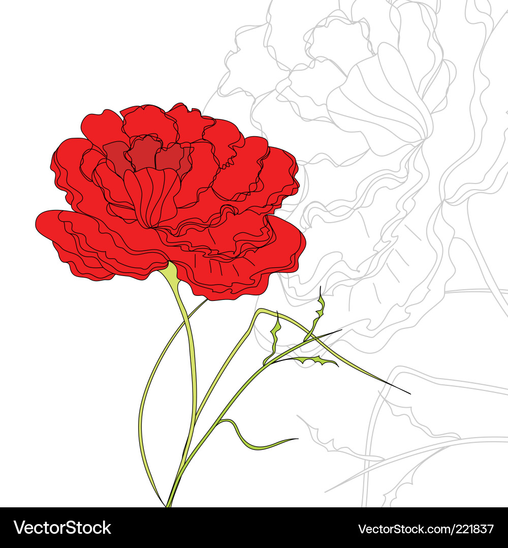 Red flower Royalty Free Vector Image - VectorStock