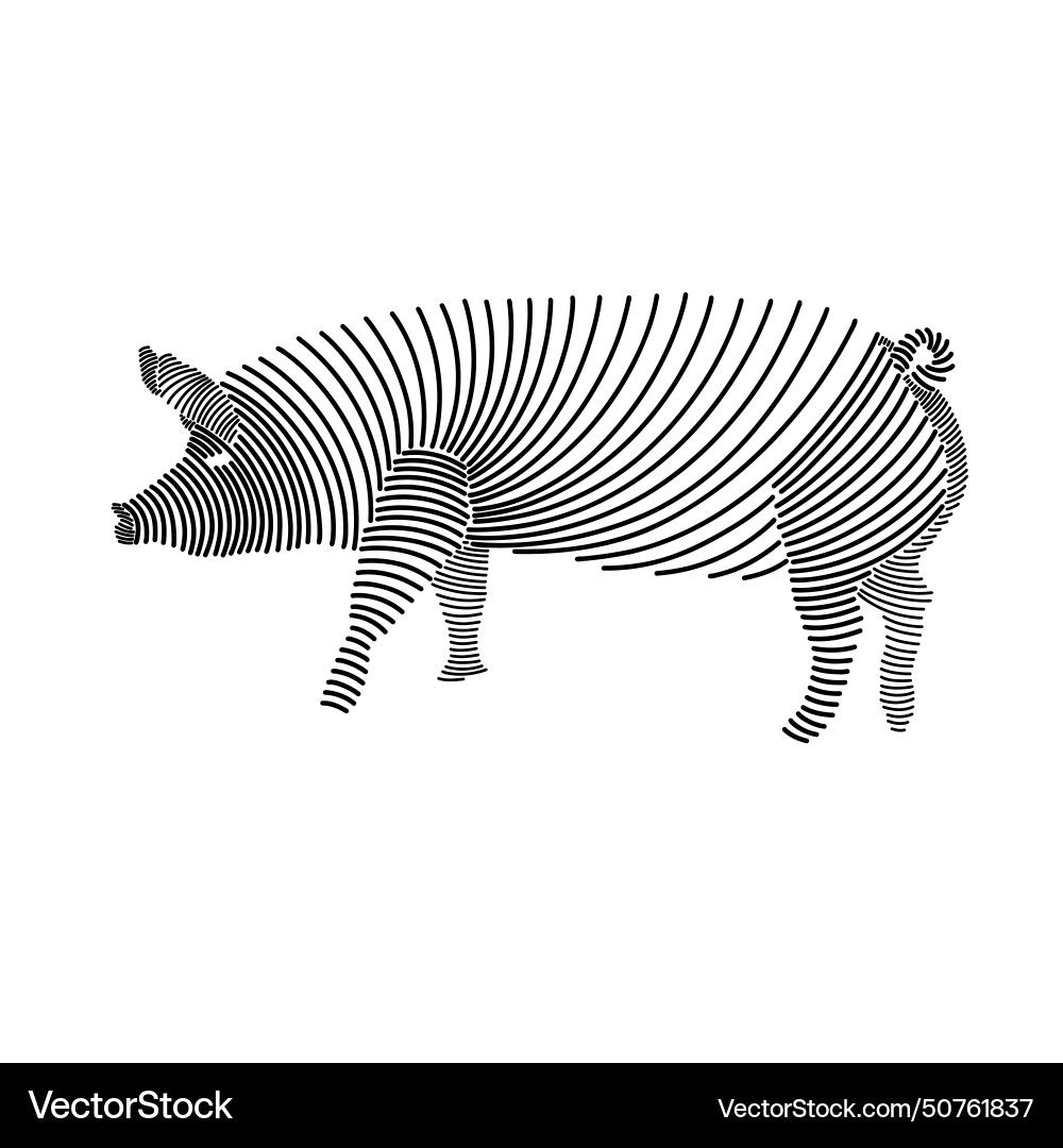 Simple line art of a pig 2 Royalty Free Vector Image