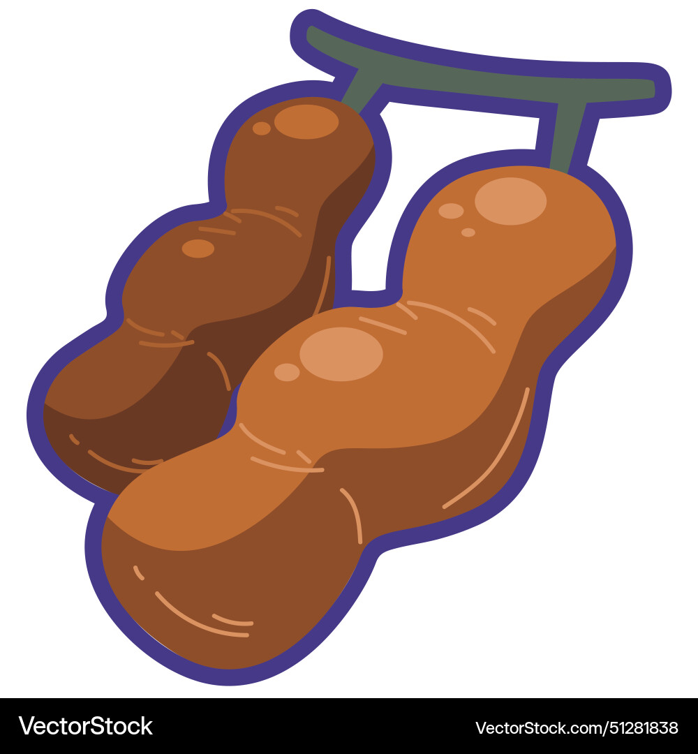 Cartoon tamarind or tintiri fruit Royalty Free Vector Image