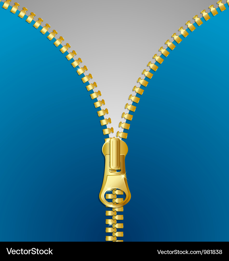 Metallic zipper Royalty Free Vector Image - VectorStock
