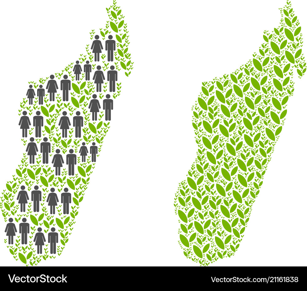 Population and agriculture madagascar island map Vector Image