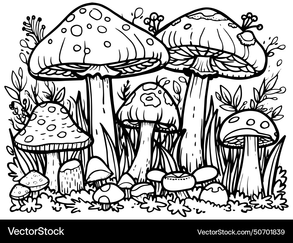 Coloring book image mushroom forest Royalty Free Vector
