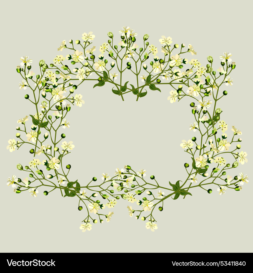 Flowers gypsophila design wedding Royalty Free Vector Image