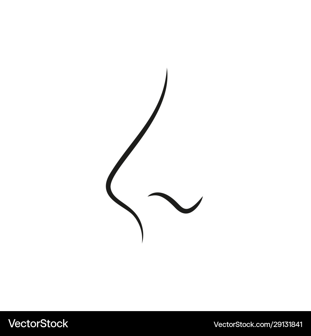 Human nose with nostrils Royalty Free Vector Image