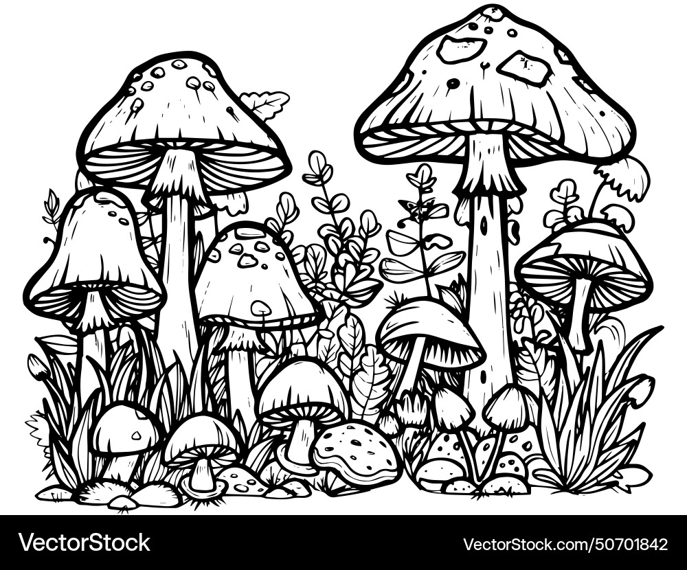 Coloring book image mushroom forest Royalty Free Vector