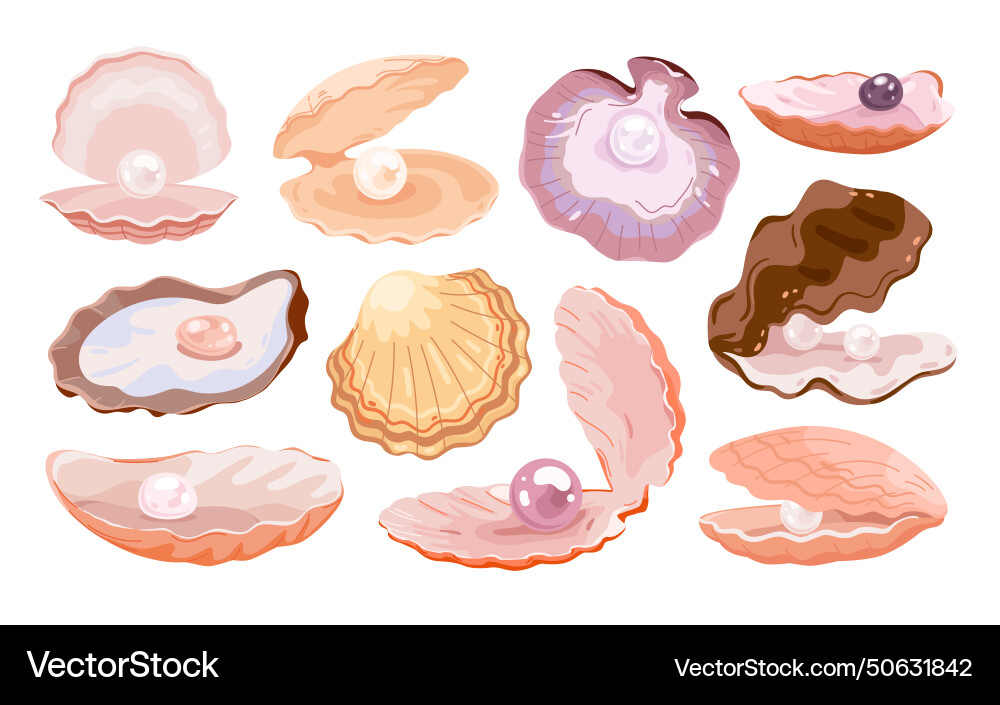 Open shell with pearl set underwater ocean or sea Vector Image