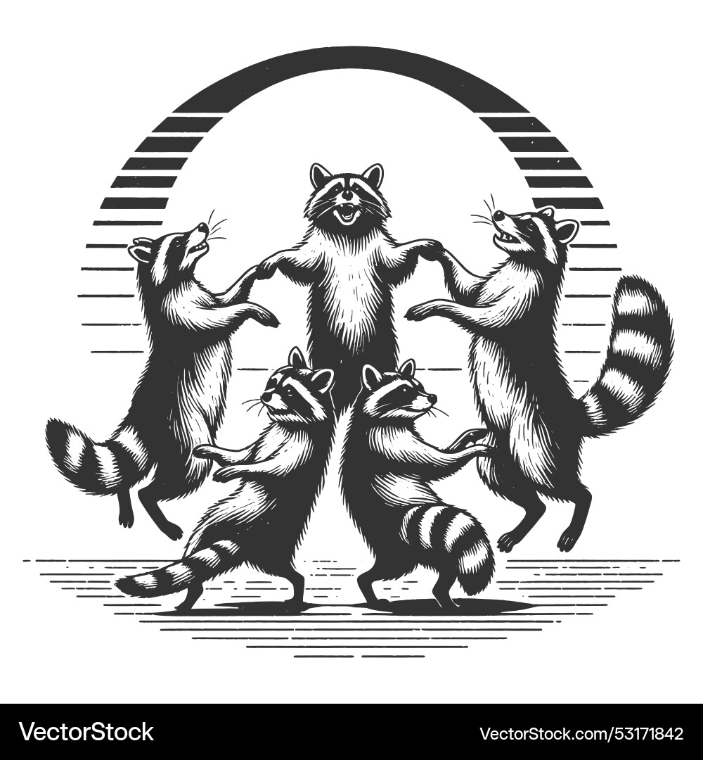 Raccoons dancing in a circle Royalty Free Vector Image