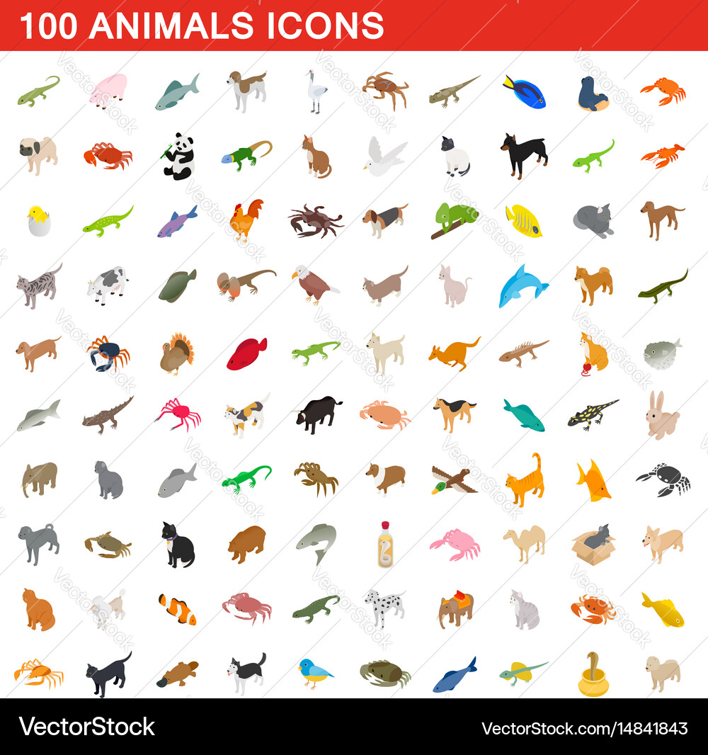 Isometric Kangaroo Vector Images (over 170)