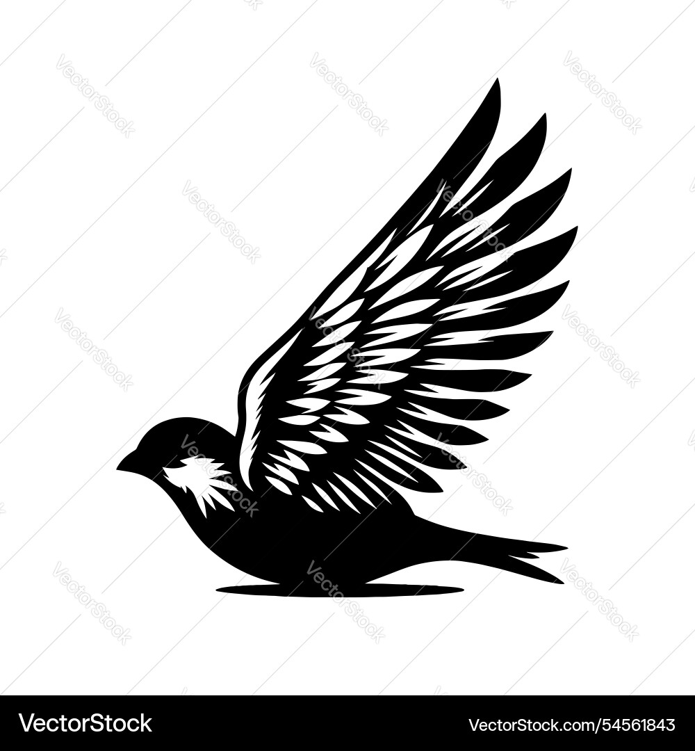 Black and white of a bird in flight Royalty Free Vector