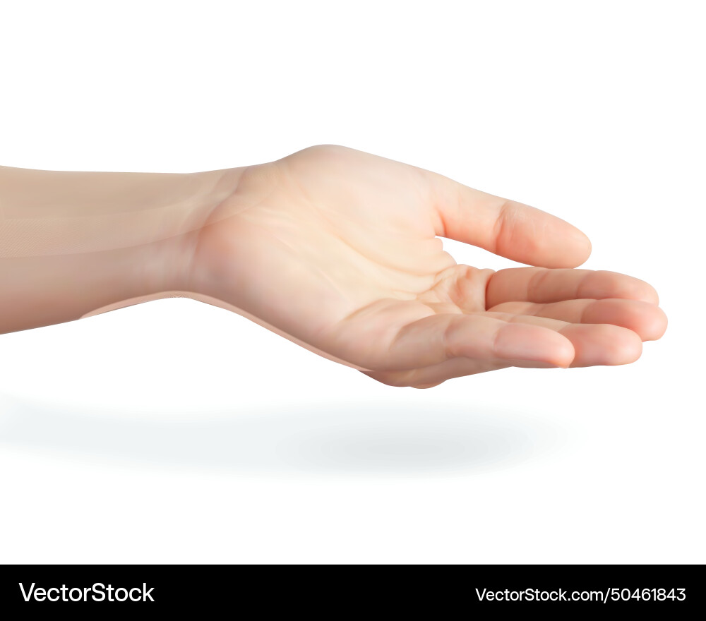 Realistic 3d female open hand Royalty Free Vector Image