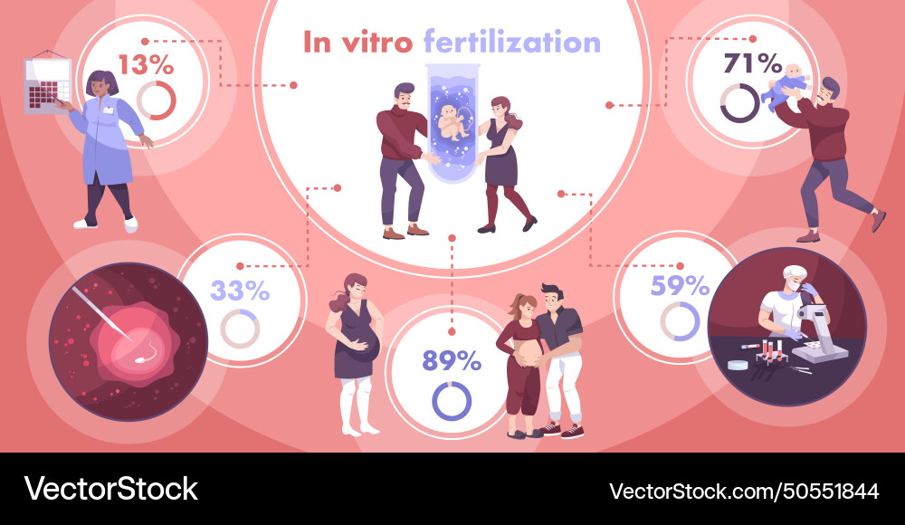 Fertilization in vitro infographics Royalty Free Vector