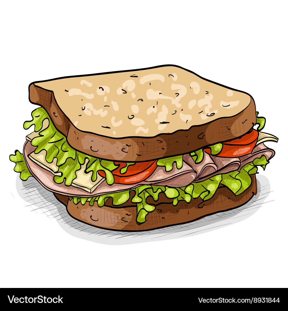 Sandwich color picture Royalty Free Vector Image