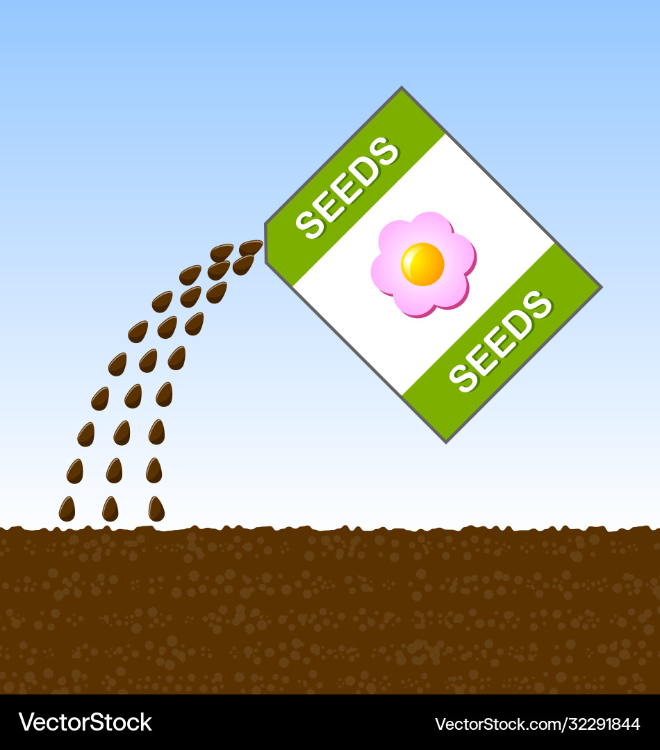 Sowing seeds flowers into soil Royalty Free Vector Image
