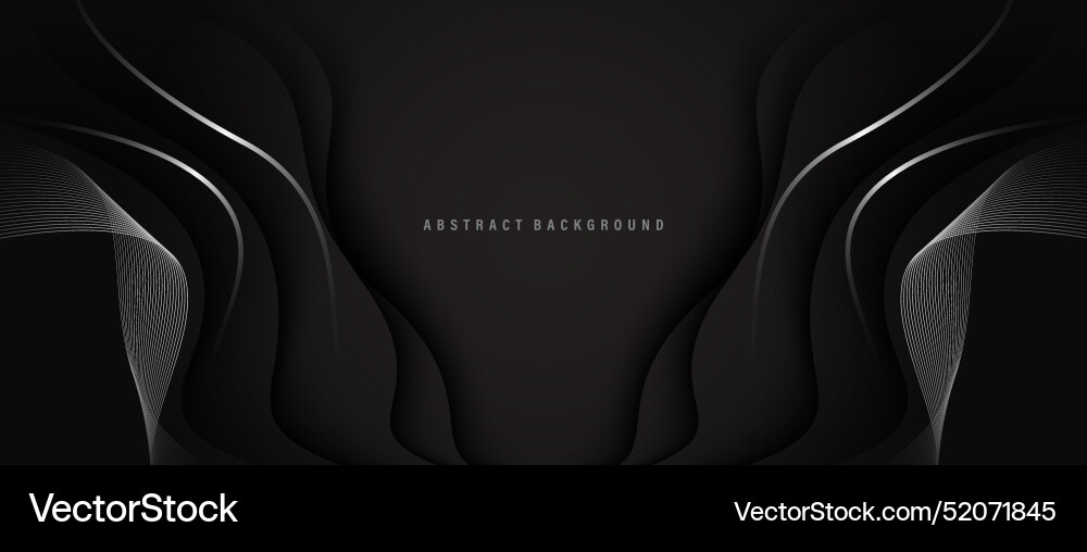 Abstract luxury curve silver lines shadow Vector Image