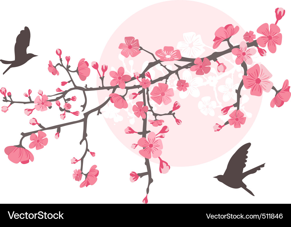 Cherry tree Royalty Free Vector Image - VectorStock