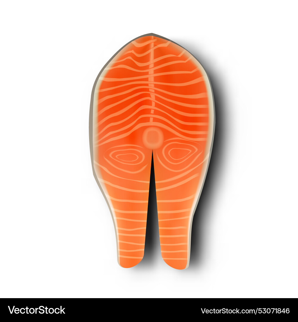 Fish steak with shadow isolated on white back Vector Image