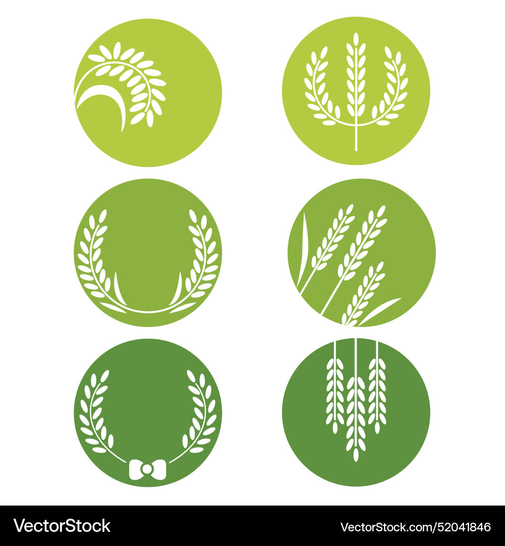 Rice plant icon Royalty Free Vector Image - VectorStock