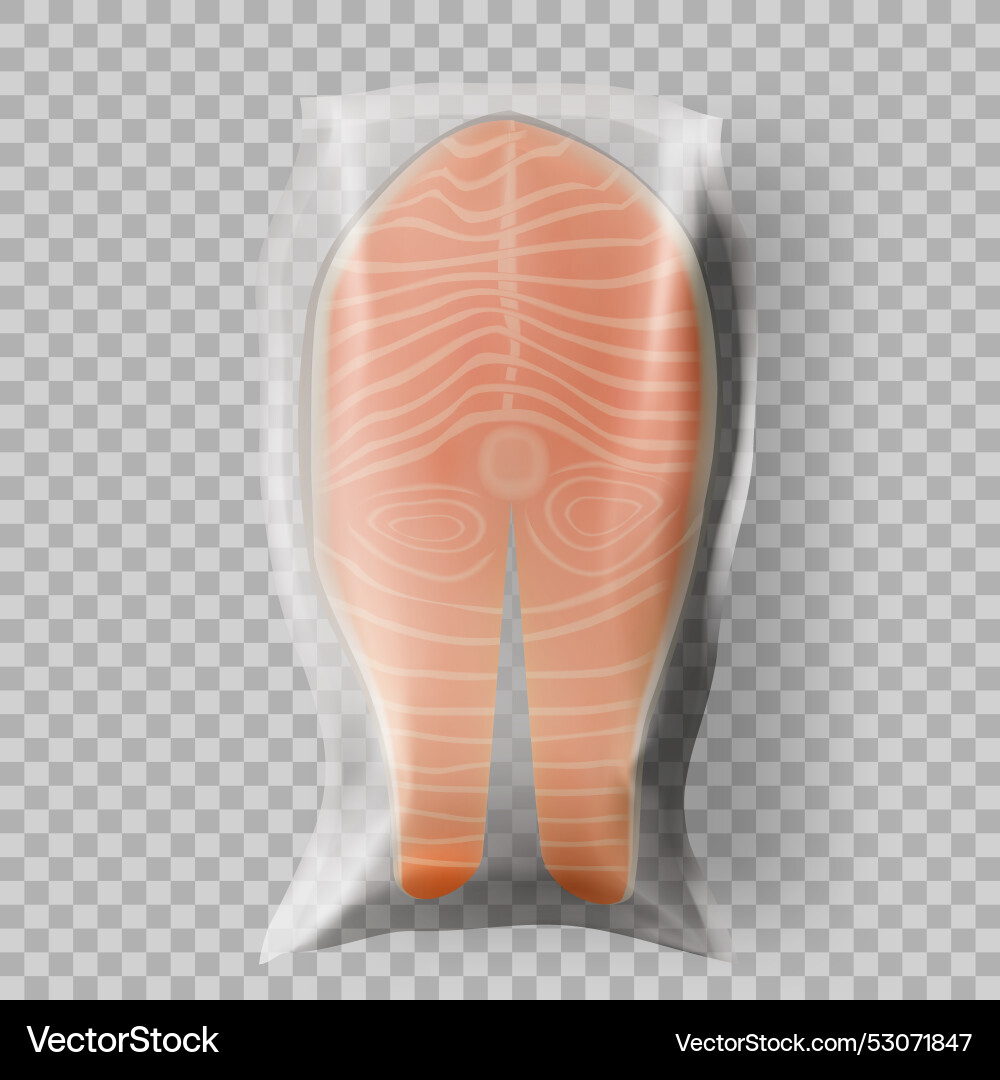 Fish steak with shadow isolated on white back Vector Image