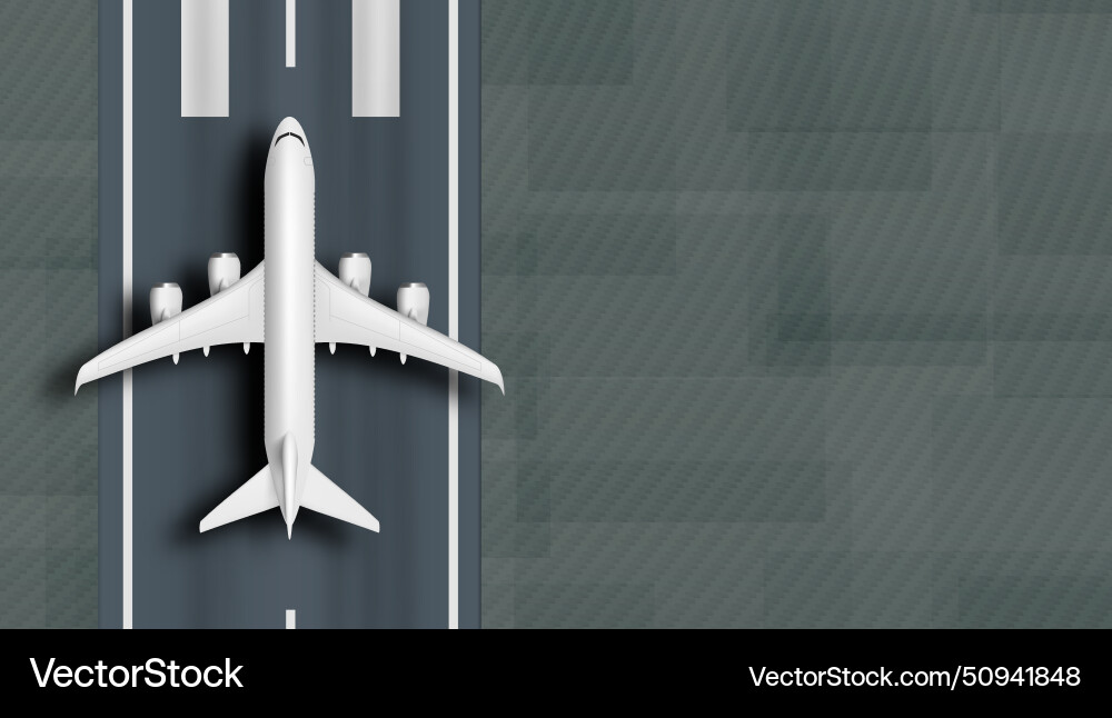 3d commercial airplane landing or take off Vector Image