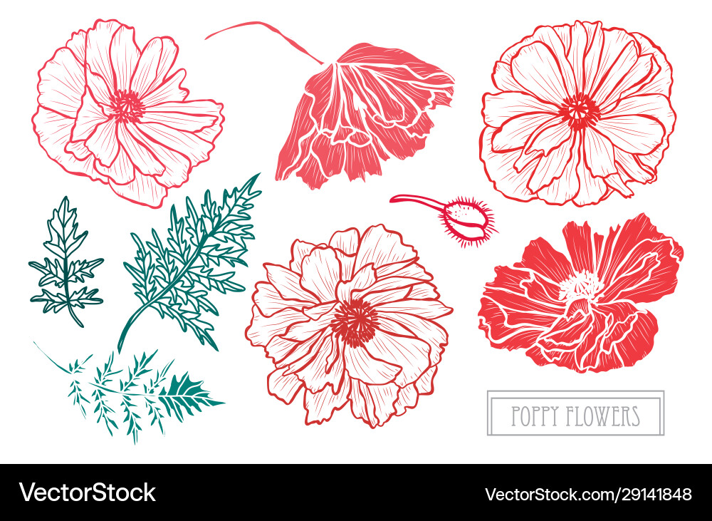 Hand drawn floral decoration Royalty Free Vector Image